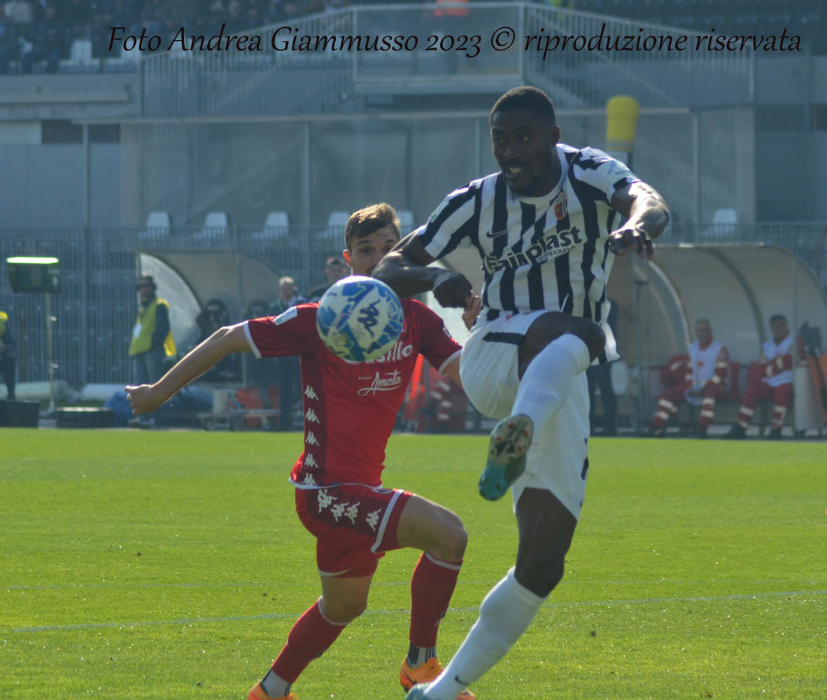 Bari-Ascoli, arbitra Rutella di Enna. Mister Viali alla vigilia ...